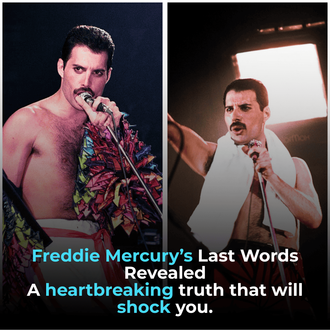 The Shocking Secret About Freddie Mercury's Last Words